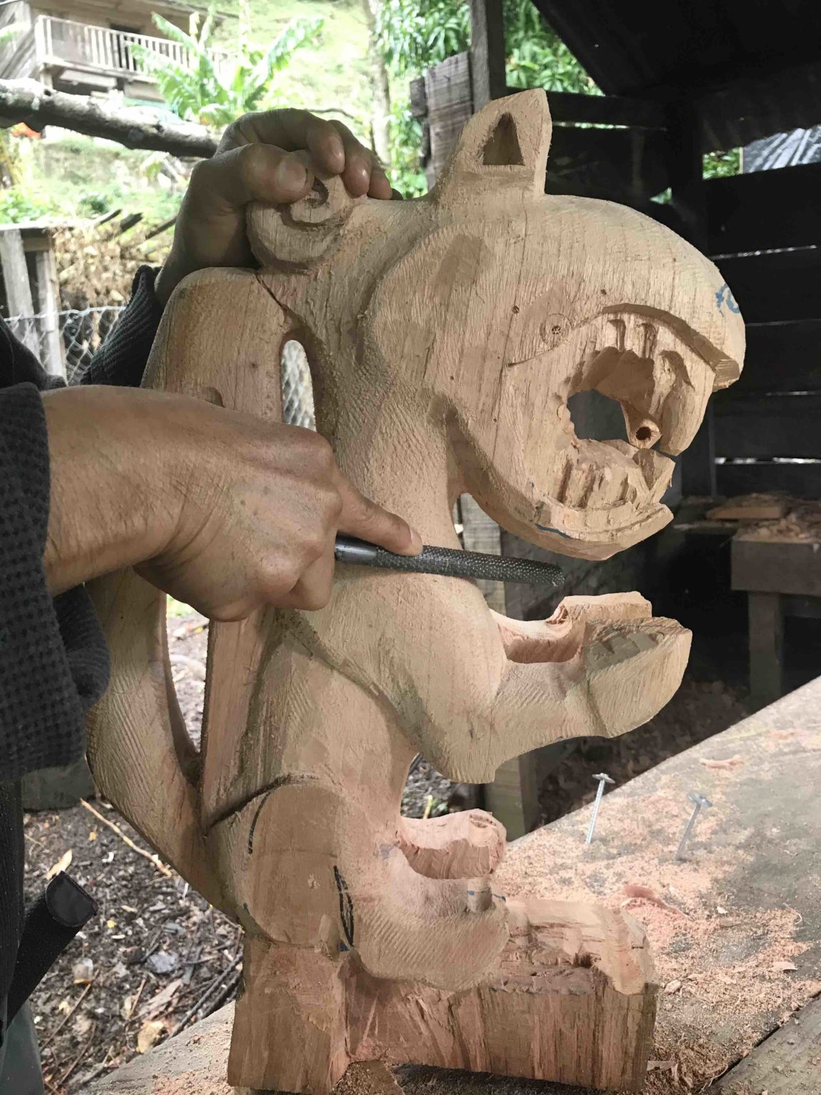 La Ruta de Ixchel. - VIAJE ZAPATISTA